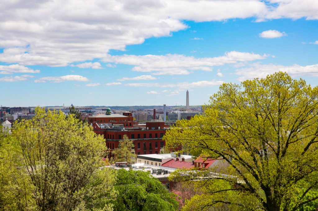 Top 5 Museums to Check Out in the Spring! - Georgetown University