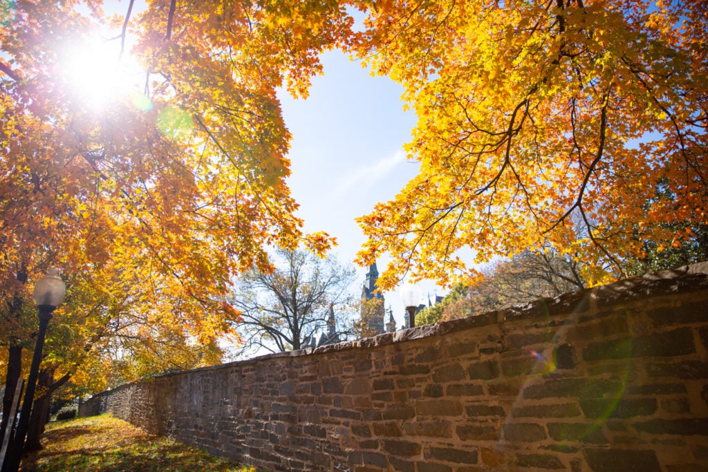 Fall-ing in Love with Georgetown: Five Things to Do this Fall ...