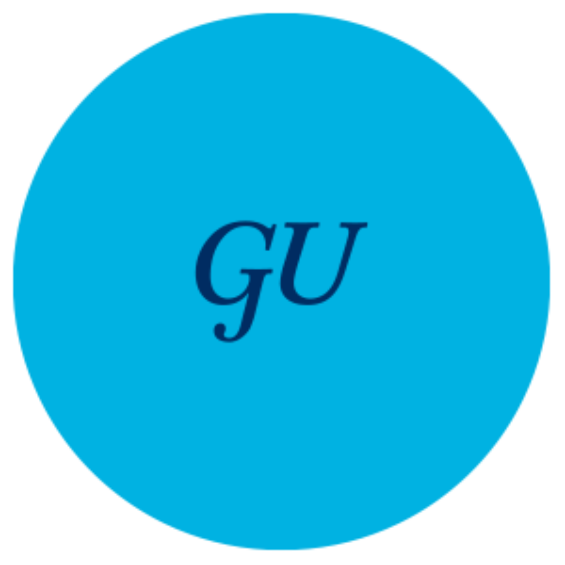 Color Guide - Georgetown University
