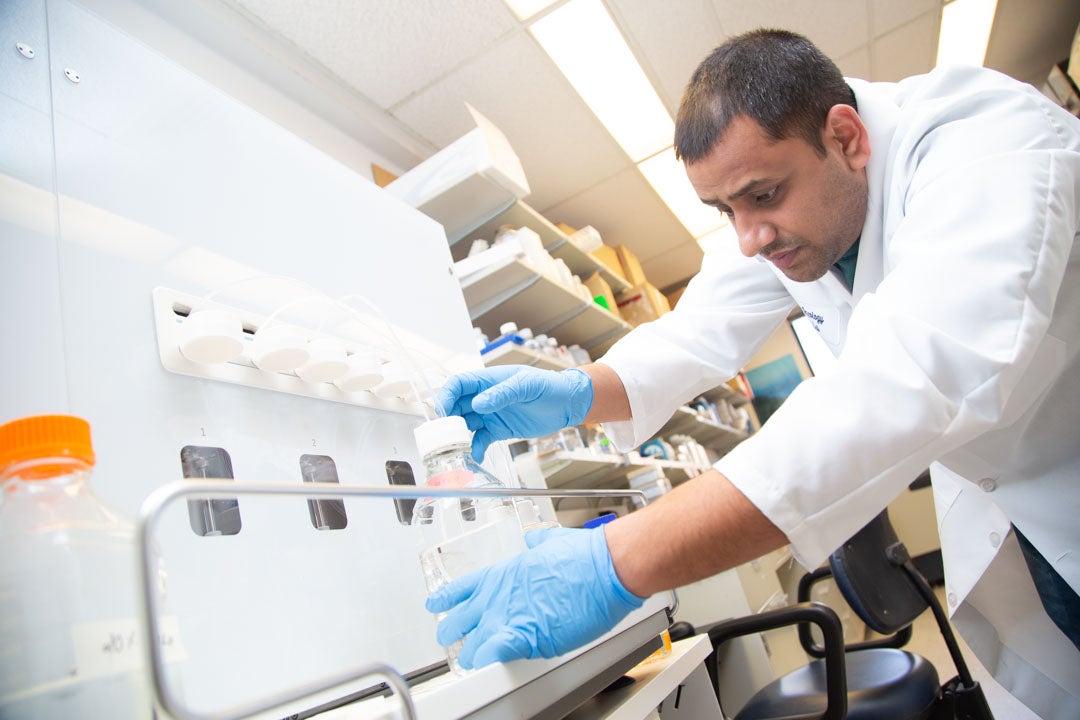 For 27th Year, Georgetown Maintains Prestigious Carnegie Research ...