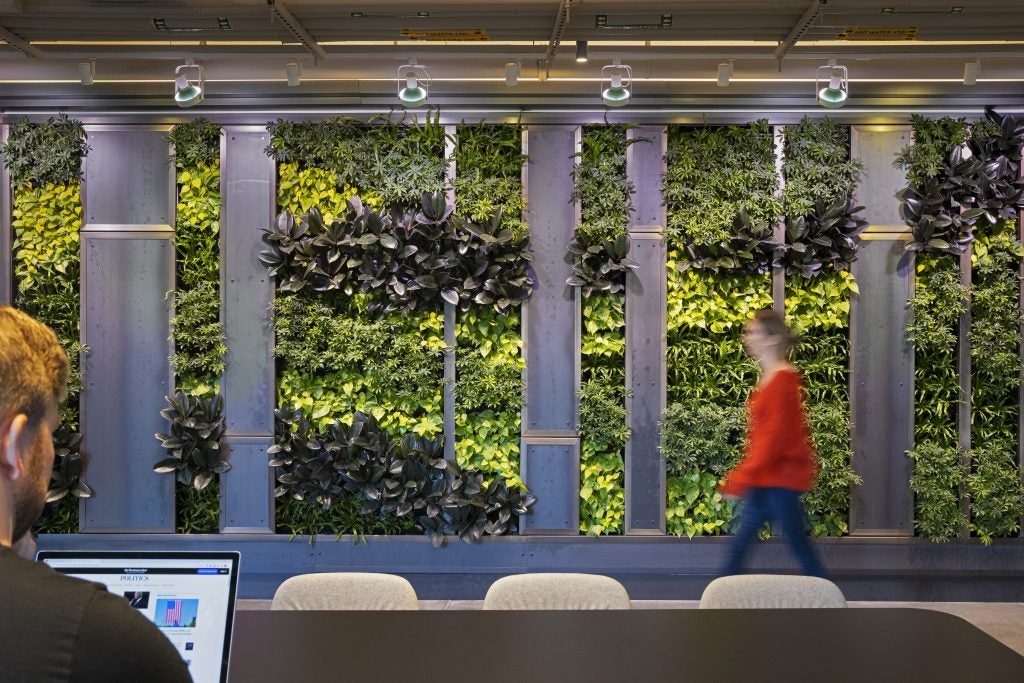 Georgetown's Downtown Building Earns Highest LEED Certification