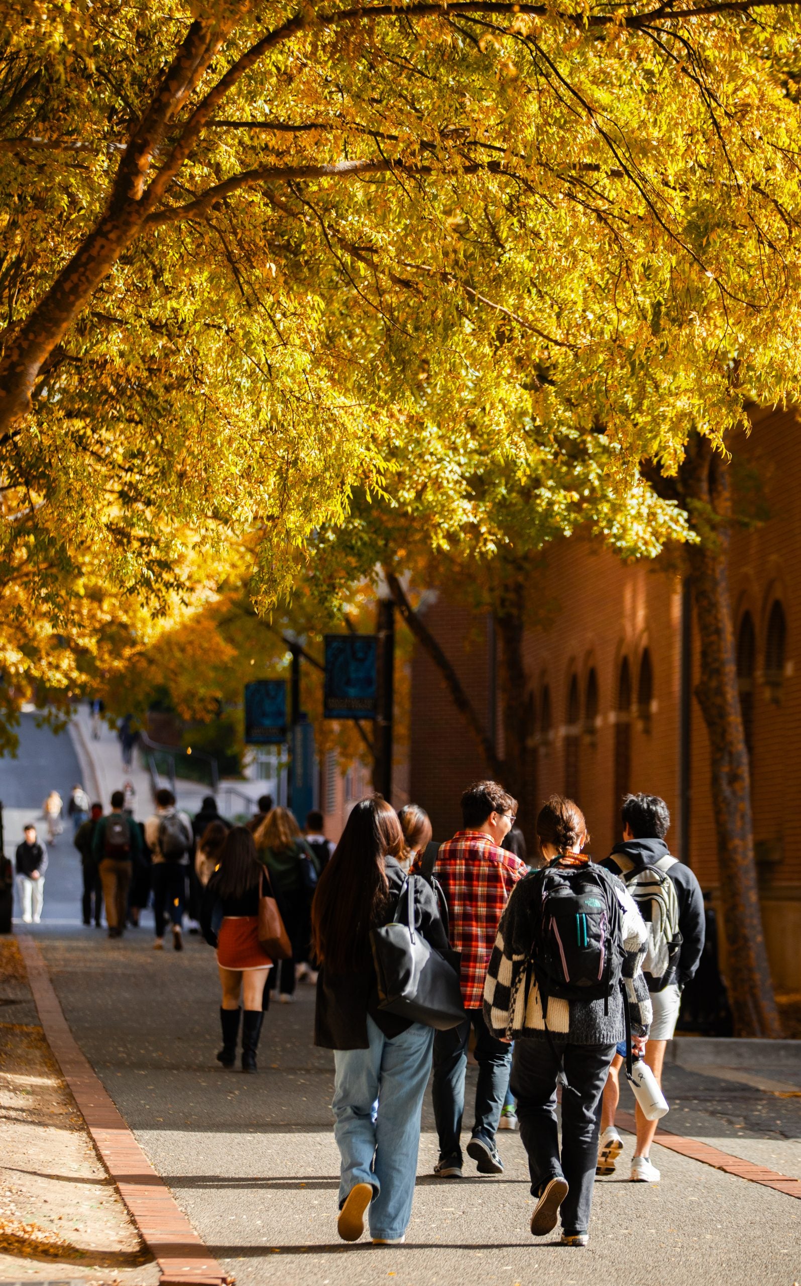 There’s No Place Like Fall on the Hilltop - Georgetown University