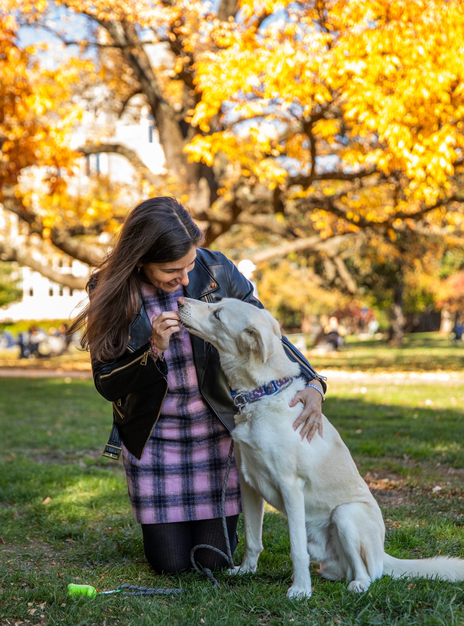 The International Relations Professor and Crouton’s Dog Mom ...