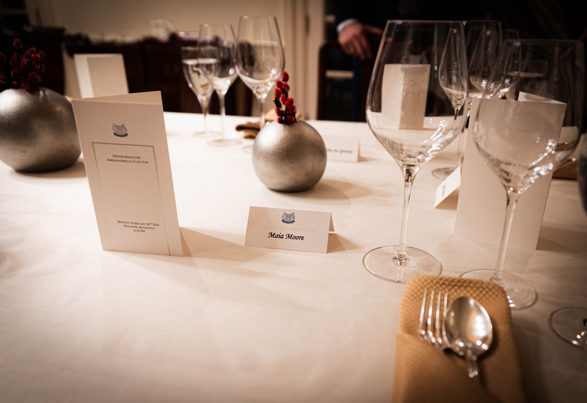 A Future Foreign Service Officer’s Training at the Diplomatic Dinner ...