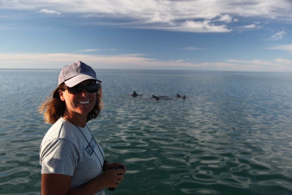 Dolphins in the Potomac? For This Professor, It’s Her Life’s Work ...