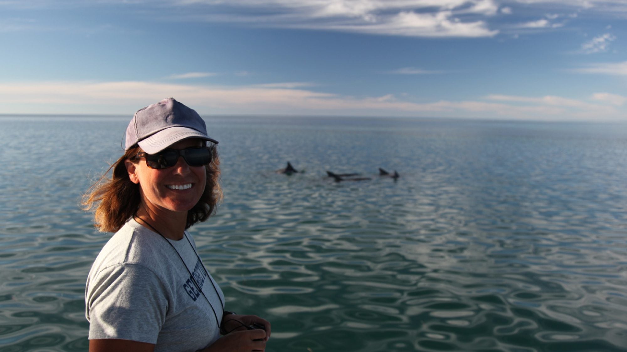 Dolphins in the Potomac? For This Professor, It’s Her Life’s Work ...