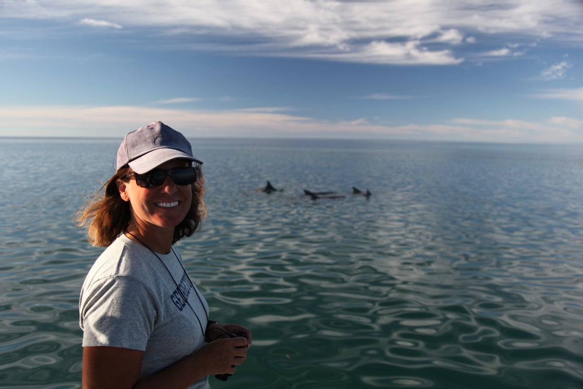 Dolphins in the Potomac? For This Professor, It’s Her Life’s Work ...