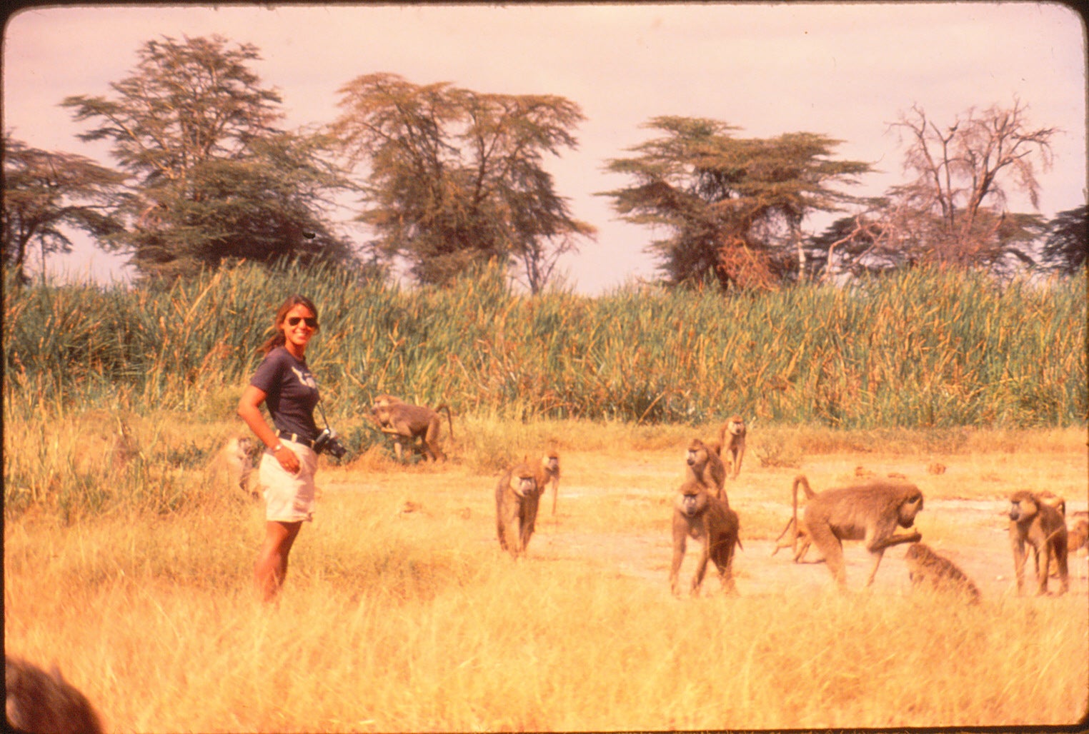 Dolphins in the Potomac? For This Professor, It’s Her Life’s Work ...