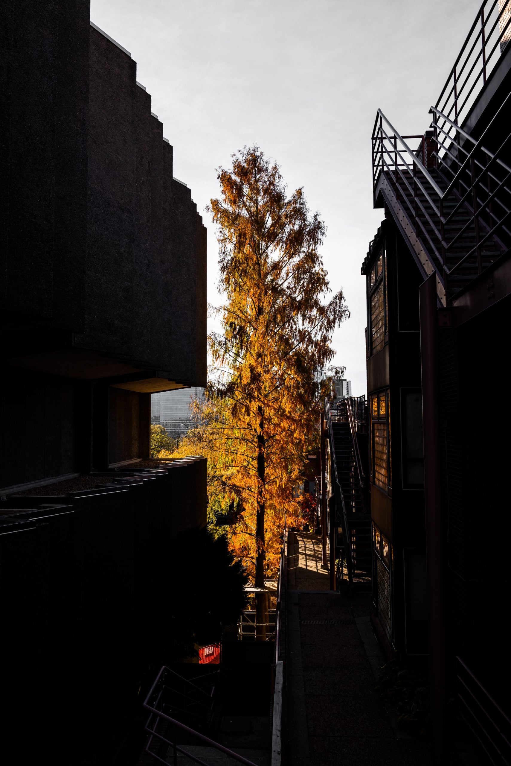 Falling for Georgetown: An Autumn Photo Shoot at the Observatory ...