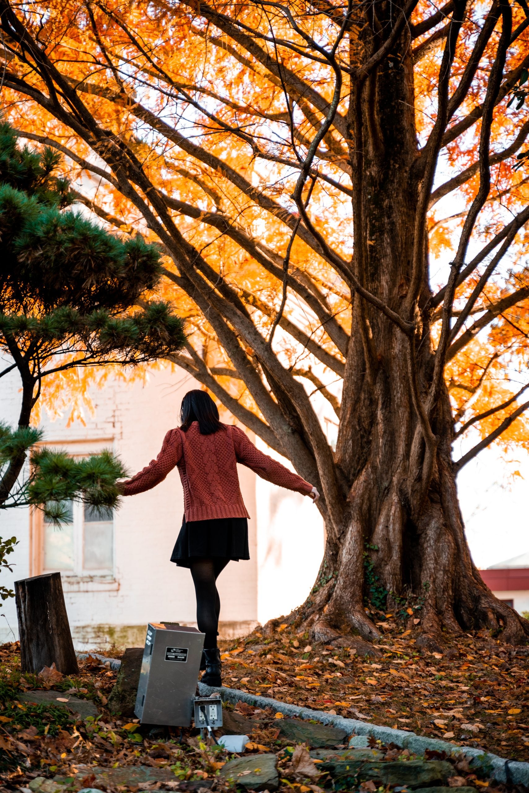 Falling for Georgetown: An Autumn Photo Shoot at the Observatory ...