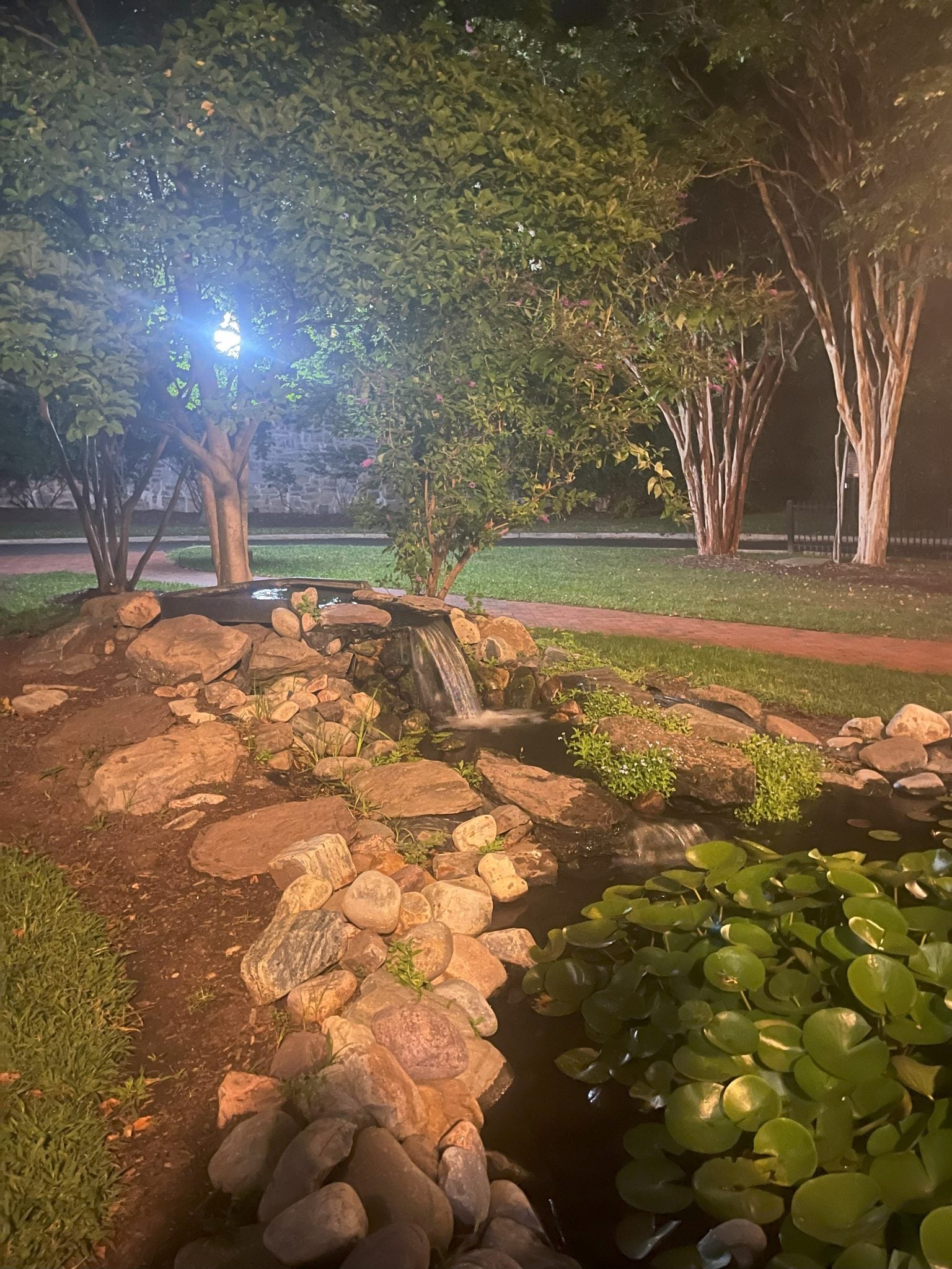 An Introvert’s Guide to Georgetown - Georgetown University
