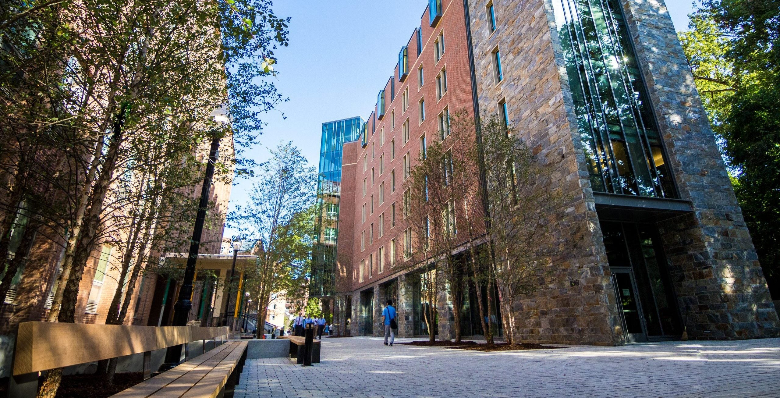 Georgetown Honors Early-Career Professors with High-Impact Research ...