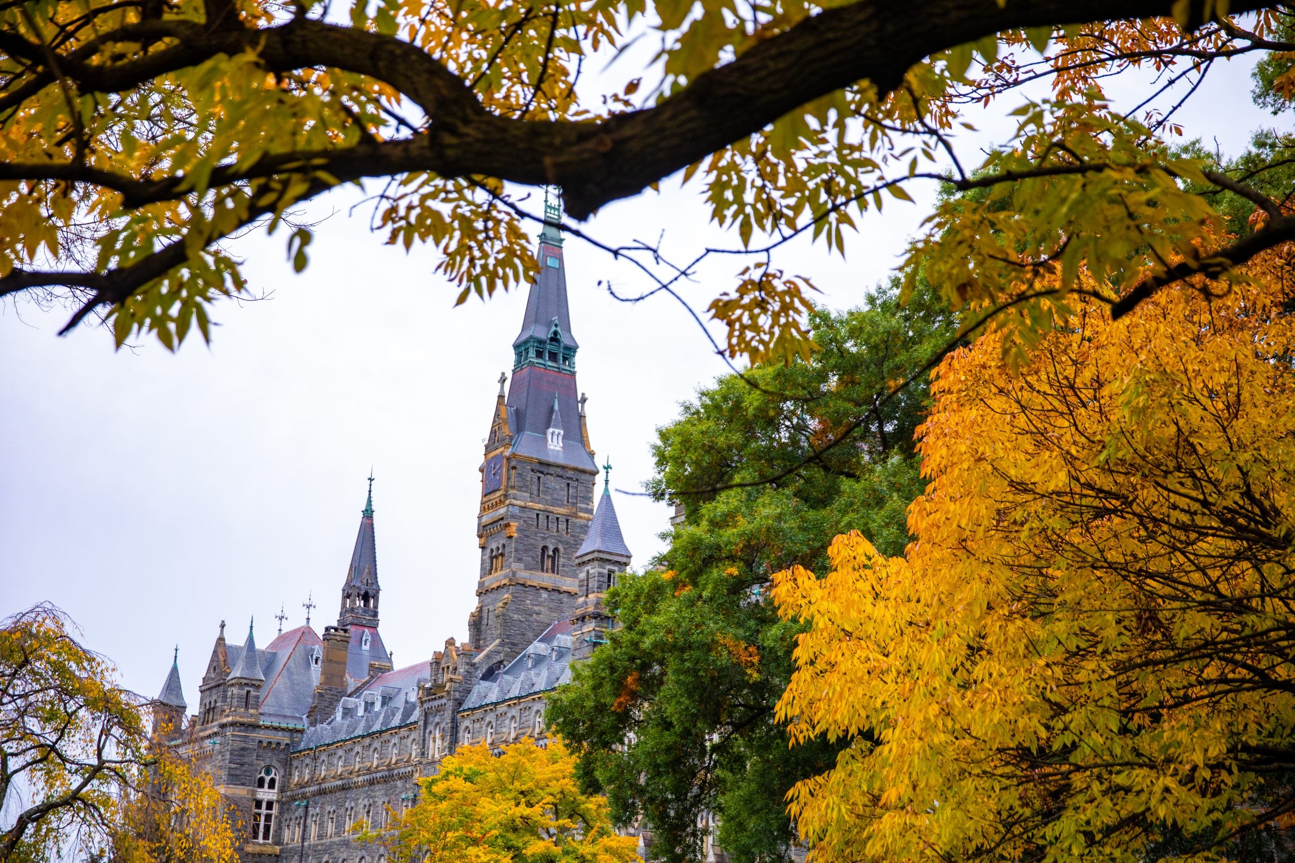 Georgetown Hires Veteran Municipal Leader to Head Government Relations ...